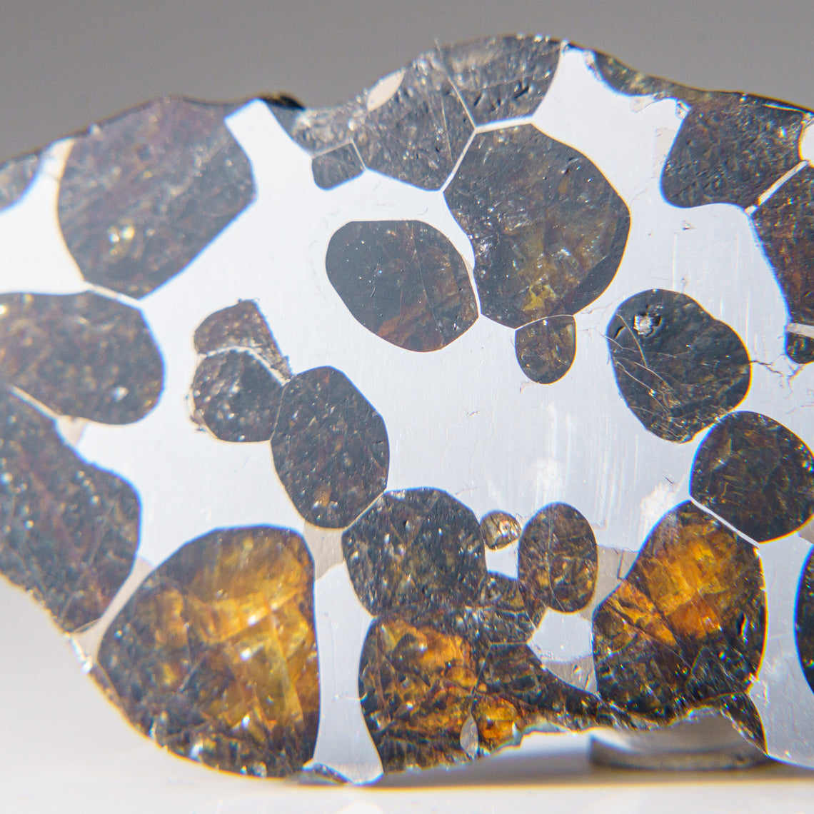 Pallasites Meteorites — Astro Gallery of Gems