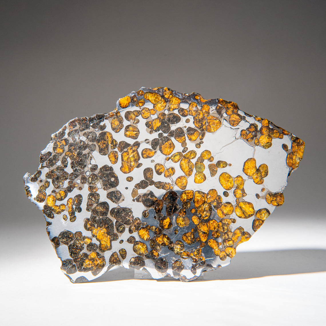 Meteorites - By Price: Highest to Lowest — Astro Gallery of Gems