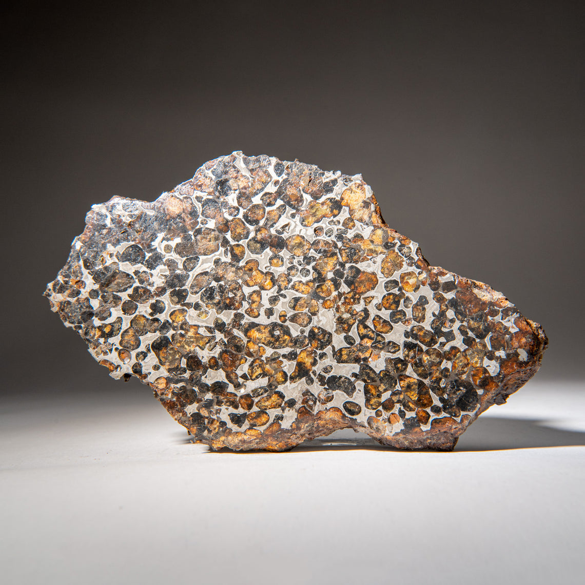 Meteorites - By Price: Highest to Lowest — Astro Gallery of Gems