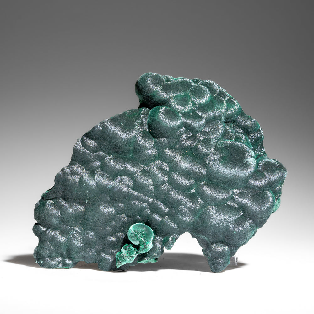 Malachite from Shaba Copper Belt, Katanga Province, Democratic Republi ...