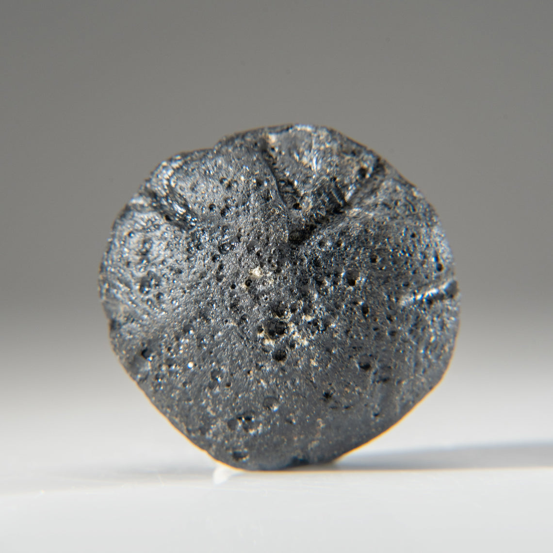 Tektites — Astro Gallery of Gems