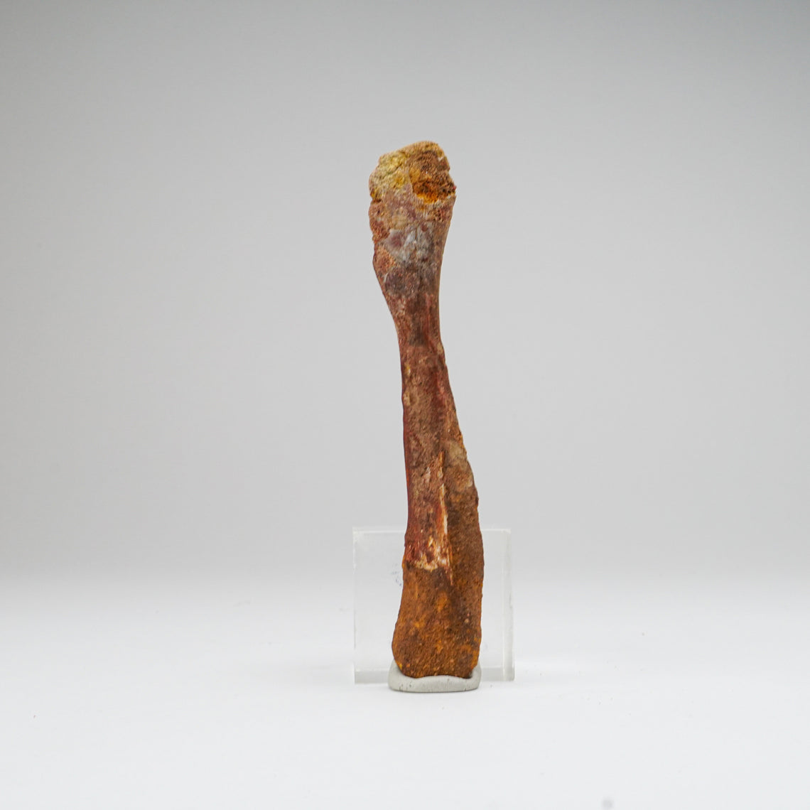 Bones — Astro Gallery of Gems