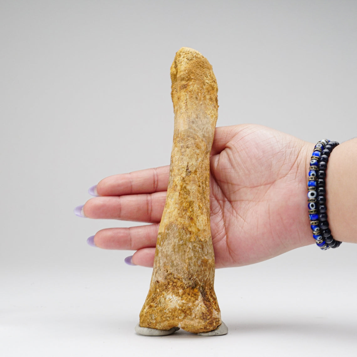 Bones — Astro Gallery of Gems