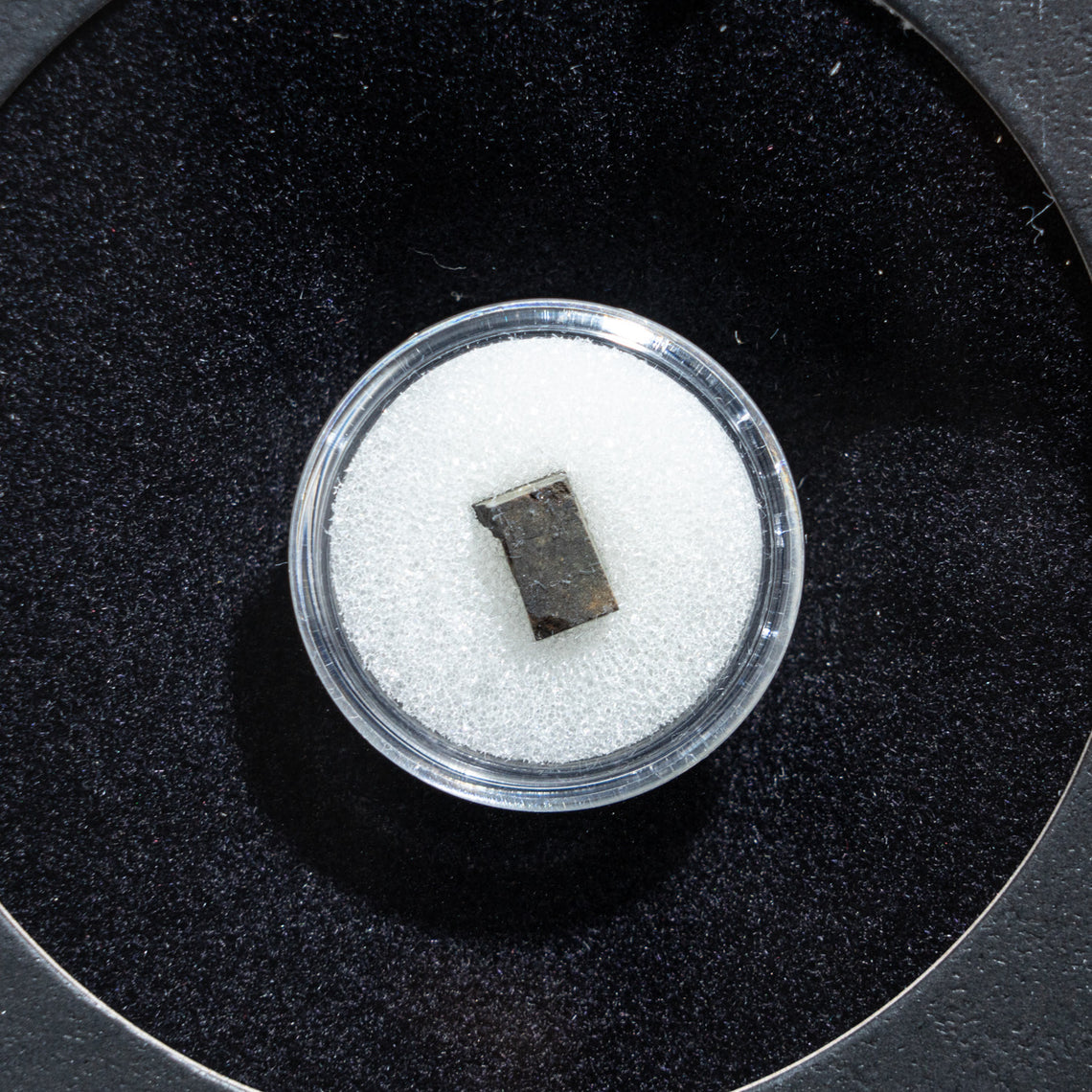 Meteorites in Display Cases — Astro Gallery of Gems