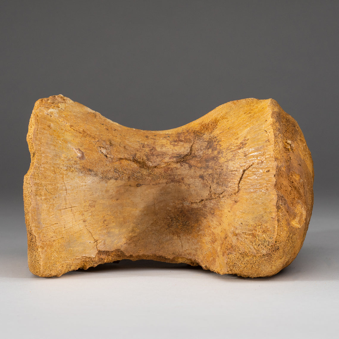 Bones — Astro Gallery of Gems