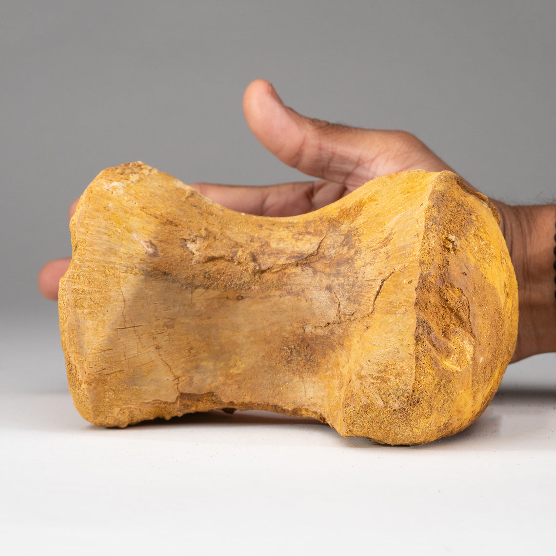 Bones — Astro Gallery of Gems