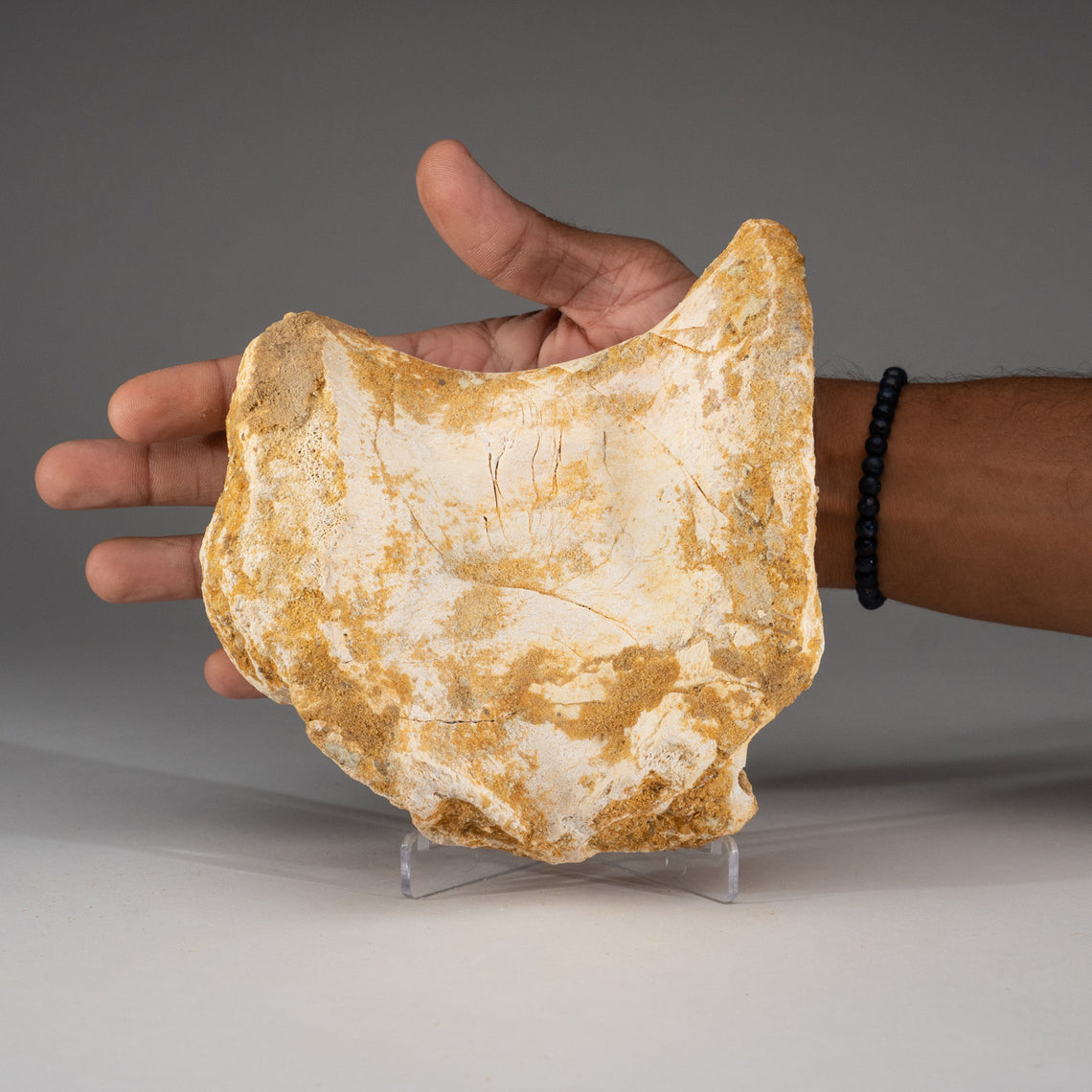 Bones — Astro Gallery of Gems