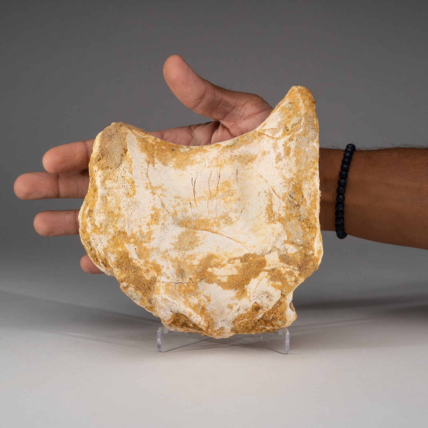 Bones — Astro Gallery of Gems