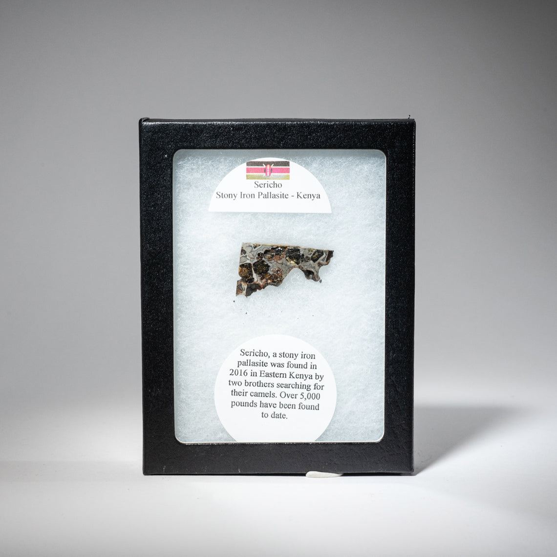 Meteorites in Display Cases — Astro Gallery of Gems