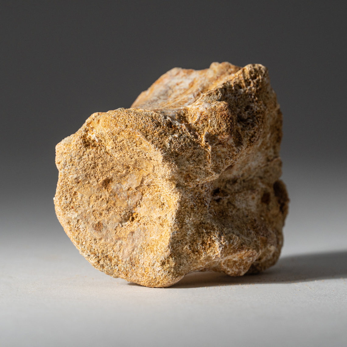 Bones — Astro Gallery of Gems